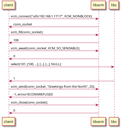 Extensible Connection-oriented Messaging (XCM): Extensible Connection-oriented Messaging